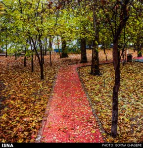 Photo Series: Autumn in Iran – A rainy day in Tehran | The other Iran