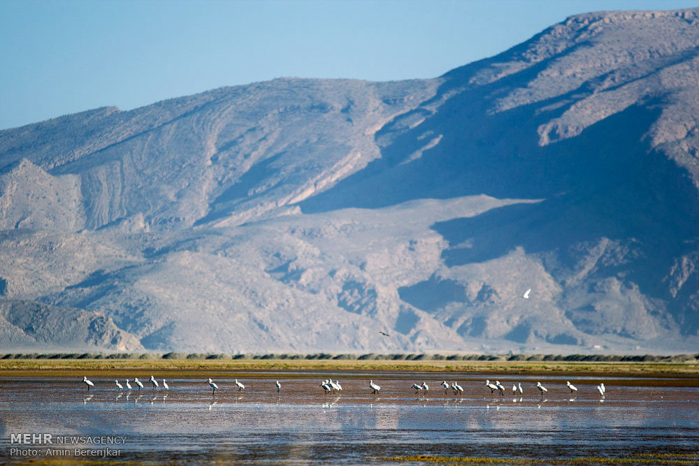 environment & climate | The other Iran