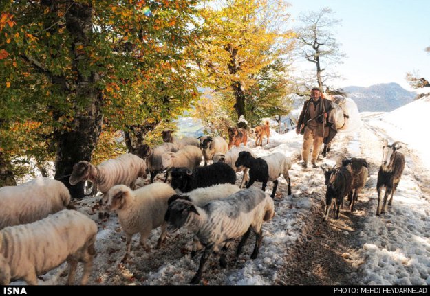 Photo Series: Autumn in Iran – Snowfall in Talesh, Gilan | The other Iran