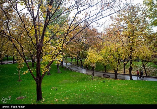 Photo Series: Autumn in Iran – A rainy day in Tehran | The other Iran