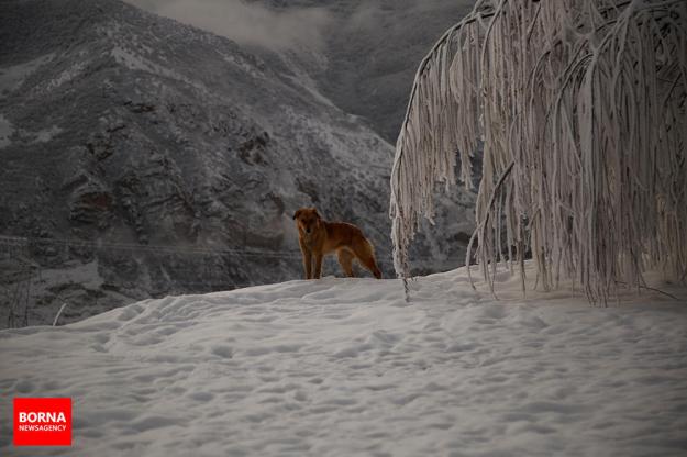 Photo series: Winter in Iran – Savadkuh County, Mazandaran | The other Iran