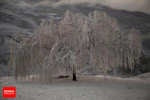 Photo series: Winter in Iran – Savadkuh County, Mazandaran | The other Iran