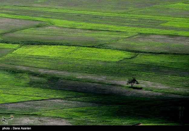 Photo Series: Spring in Iran – Marivan, Kurdistan Province | The other Iran
