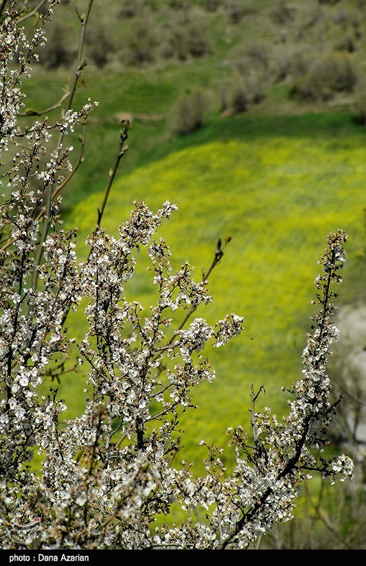Kurdistan, Iran – Marivan in early spring 11 – Photo by Dana Azarian ...