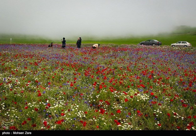 Photo Series: Spring in Iran – Ardabil Province | The other Iran
