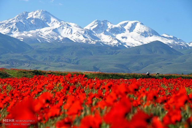 Photo series: Spring in Iran | The other Iran