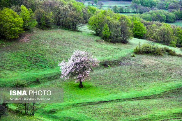 Photo series: Spring in Iran | The other Iran