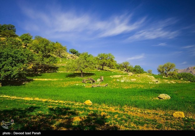 Photo series: Spring in Iran | The other Iran