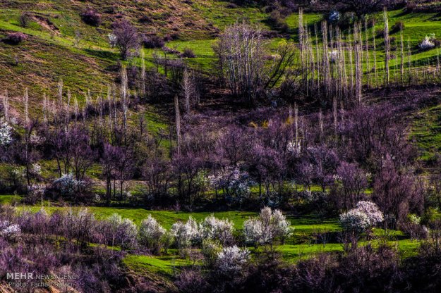 Photo series: Spring in Iran | The other Iran