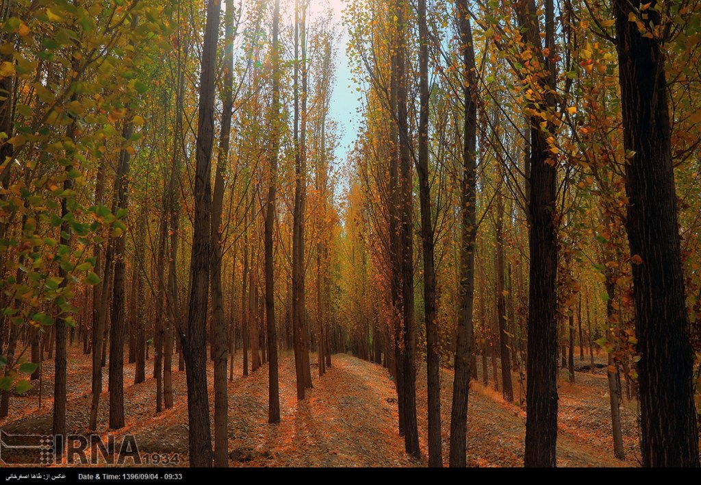 Autumn in Iran | The other Iran